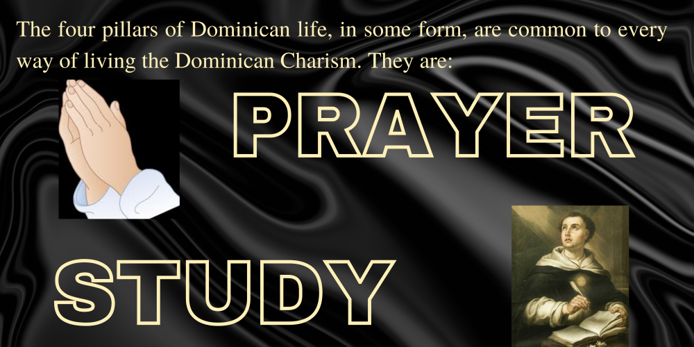 Dominican Order - Stone Dominican Sisters